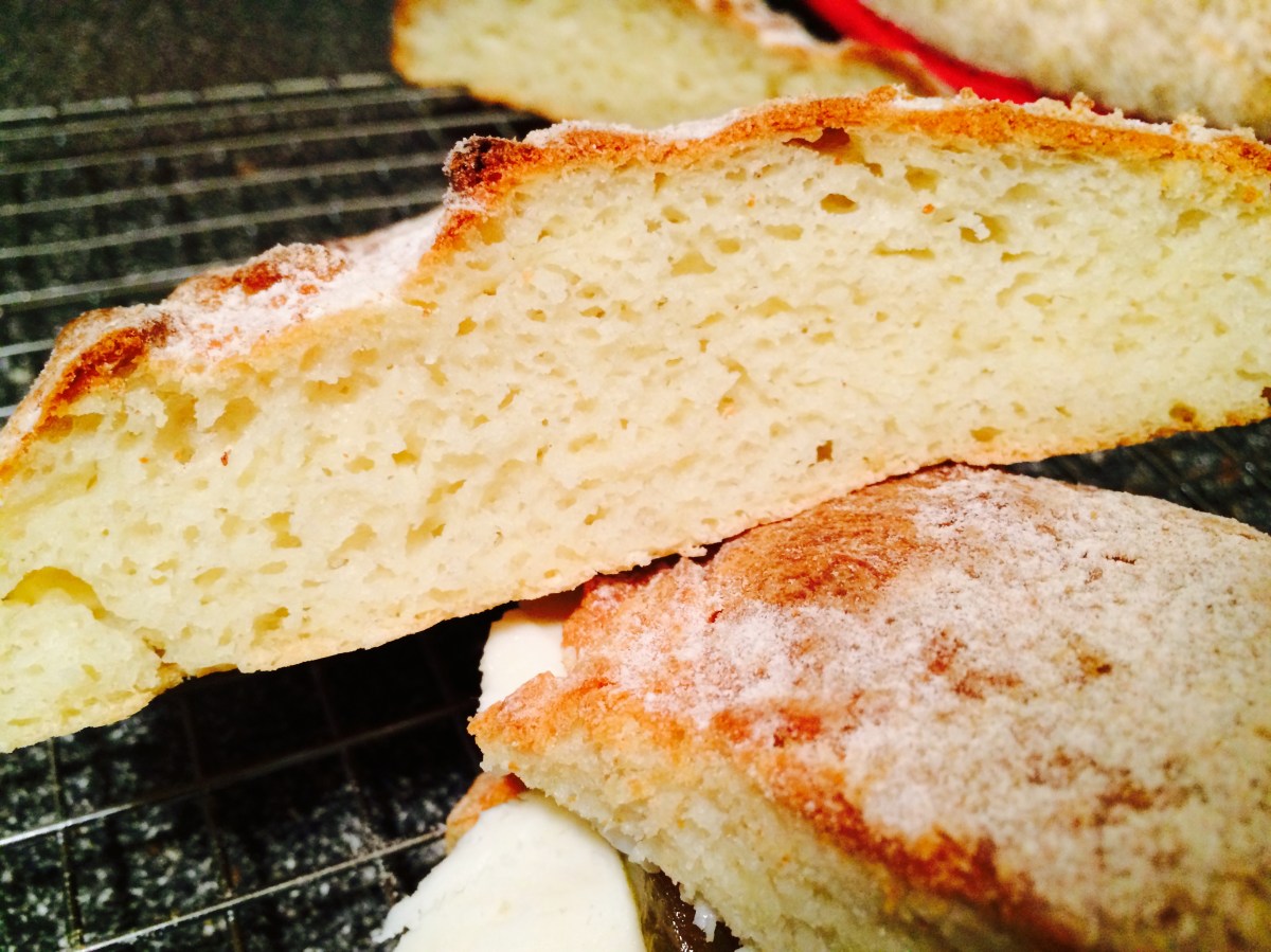 ciabatta bread update | kiss my gluten free buns